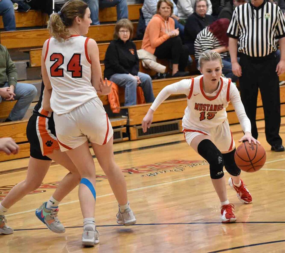 Mathews handles Newton Falls to advance | News, Sports, Jobs - Tribune ...